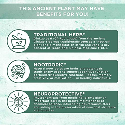 USDA Organic Ginkgo Leaf Liquid Drops by MaryRuth's | Traditional Herb | Nootropic, Neuroprotective | Traditional Use for Circulatory System and Nervous System Health | Non-GMO, Vegan | 60 Servings