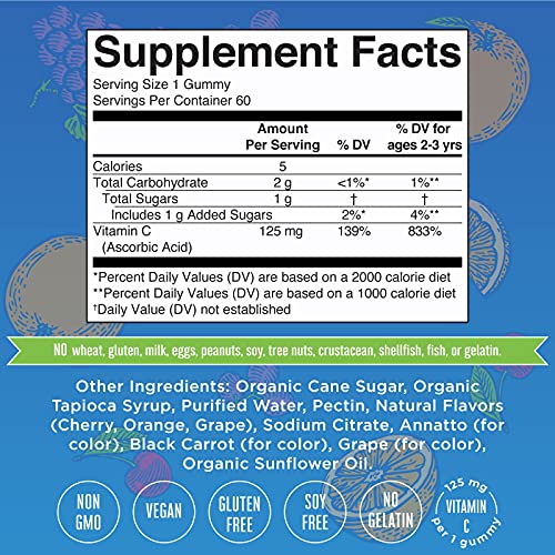Vegan Vitamin C Gummies by MaryRuth's | 2 Month Supply | Great Tasting Plant-Based Formula Supports Immune Function & Overall Health for Adults & Kids | Non-GMO with 125 mg of Vitamin C Per Gummy