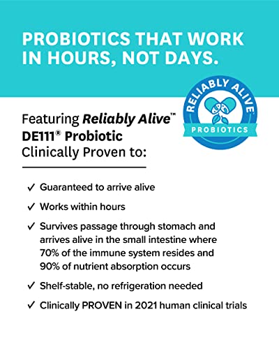 Zenwise Probiotic Digestive Multi Enzymes, Probiotics for Digestive Health, Bloating Relief for Women and Men, Enzymes for Digestion with Prebiotics and Probiotics for Gut Health - 100 Count