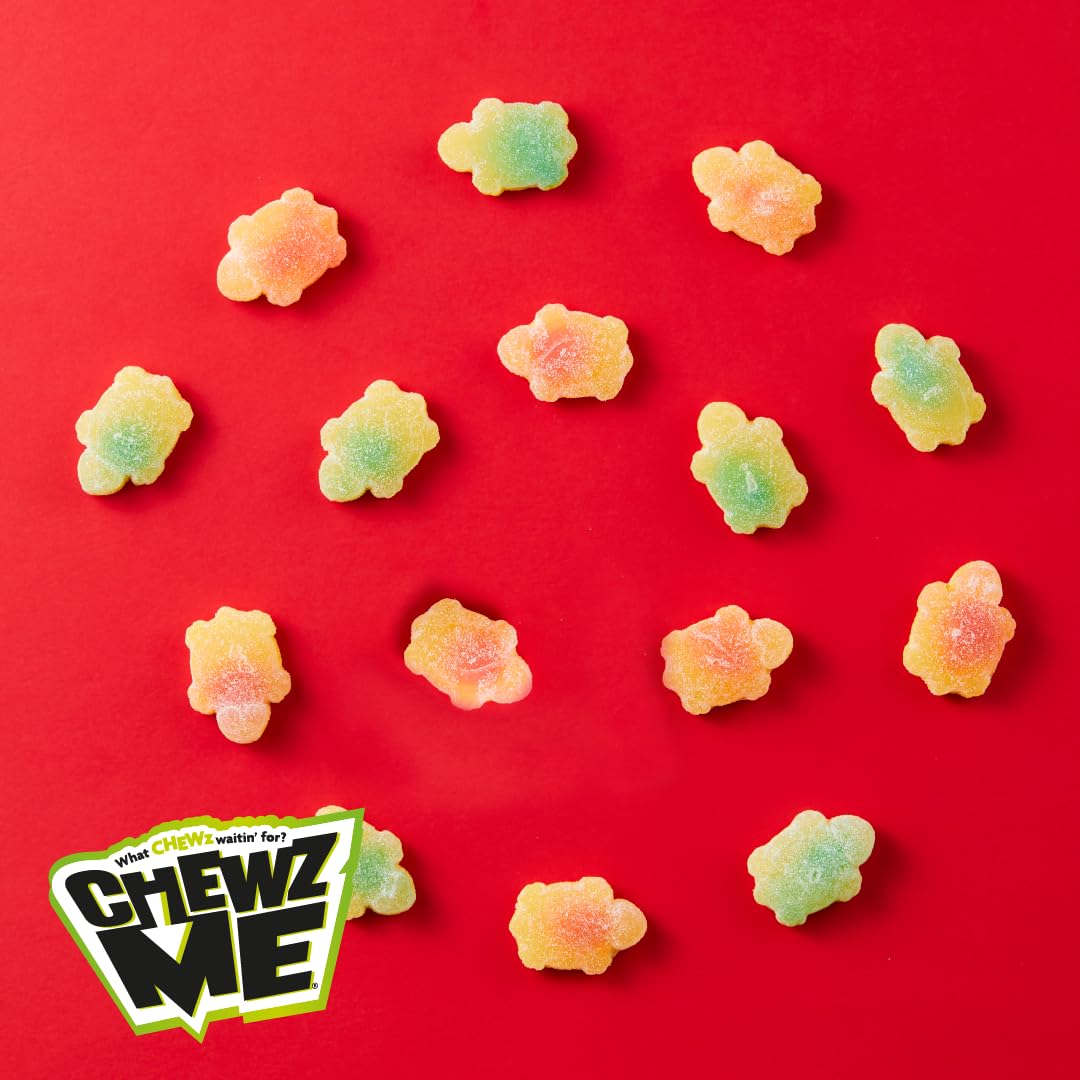 ChewzMe Tangy Turtlz Gummies, Turtle Shaped Jelly-Filled Gummy and Chewy Candy in Assorted Flavors, 3.2 Ounce (Pack of 1)