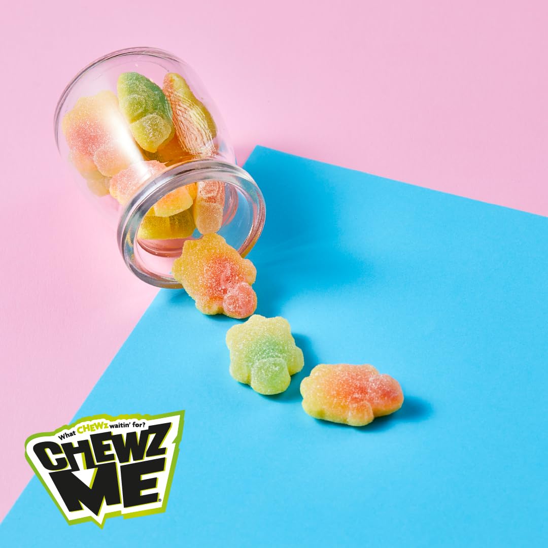 ChewzMe Tangy Turtlz Gummies, Turtle Shaped Jelly-Filled Gummy and Chewy Candy in Assorted Flavors, 3.2 Ounce (Pack of 1)