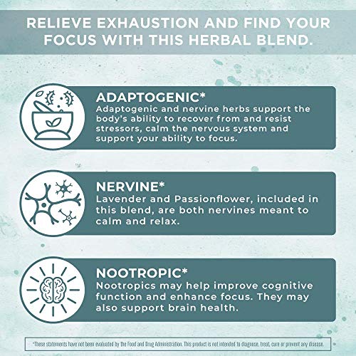 Nootropic Focus Supplement for Adults | USDA Organic Brain Supplement with Ginkgo Biloba & Astragalus | Focus & Adrenal Support | Brain and Memory Drops | Vegan | Non-GMO | Gluten Free | 30 Servings