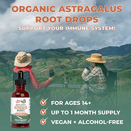 USDA Organic Astragalus Root Liquid Drops & USDA Organic Adults Adrenal & Focus Support Bundle by MaryRuth's | Immune Support, Focus, and Cardiovascular Support | Ginkgo Biloba | Brain & Memory Drops