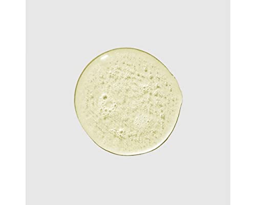 Paul Mitchell Clean Beauty Repair Shampoo, Strengthens and Protects, For Damaged, Brittle Hair, 8.5 fl. oz.