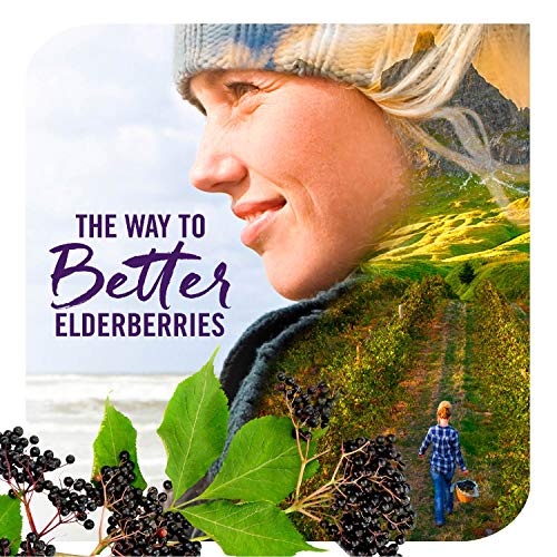 Nature's Way Sambucus Black Elderberry Gummies with Vitamin C and Zinc, 60 Gummies