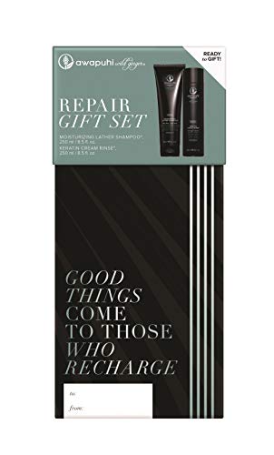Awapuhi Wild Ginger Paul Mitchell Repair Holiday Gift Set ($47 Value)