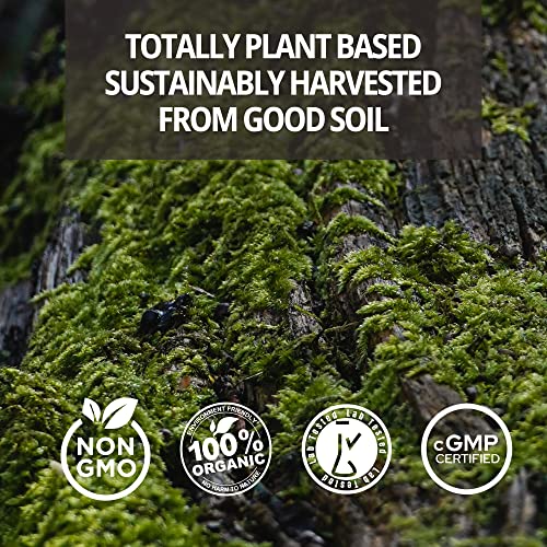 Vitamin D3 5000IU Gummies 125mcg with Calcium 600mg+K2( MK7 ) 200mcg, Coconut Oil for High Absorption, Maximum Strength Vitamin D Supplement - Support Strong Bones, Immune System Health Vegan 60 Count