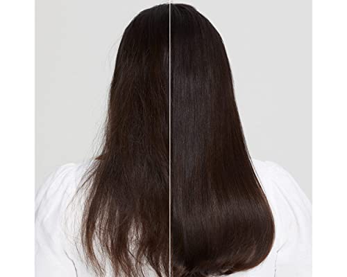 Paul Mitchell Clean Beauty Hydrate Shampoo, Replenishes Hair, Adds Moisture, For Dry Hair, 8.5 fl. oz.