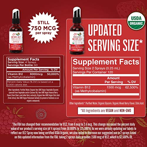 Adult Iron Gummies & Vitamin B12 Spray (Berry) by MaryRuth's | Iron Supplement for Iron Deficiency for Adults | Nerve Function & Energy Boost Supplement
