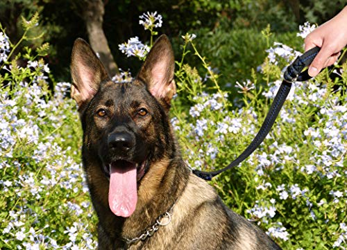 Baby Stroller Wheelchair Safety Wrist Strap or Large Dog Leash, Second Layer Security for Retractable Dog Leash, Black with Blue Stitching