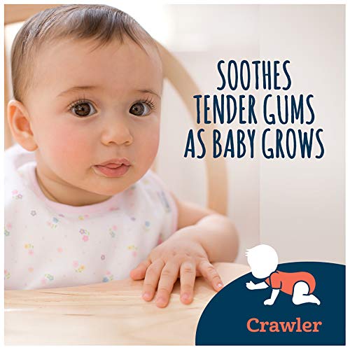 Gerber Teethers Gentle Teething Wafers Variety Pack - 1 Box Banana Peach, 1 Box Strawberry Apple Spinach - 12 CT/Box (Pack of 2 Boxes)