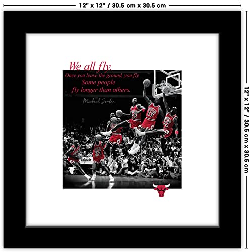 Trends International Gallery Pops Michael Jordan - Quote We All Fly Wall Art Wall Poster, 12" x 12", Black Frame Version