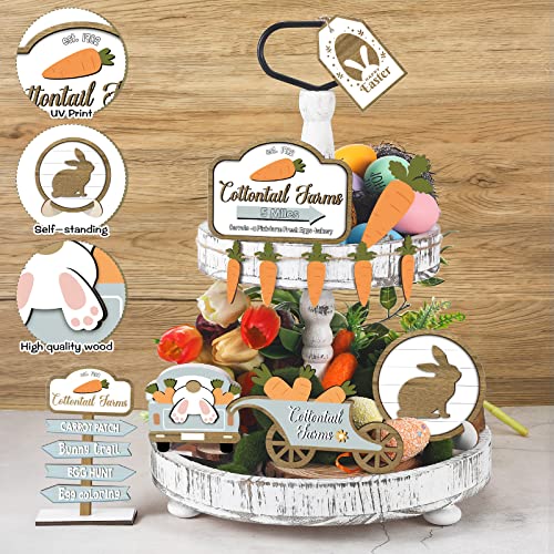 Easter Tiered Tray Decor Spring Table Wooden Sign Decorations Easter Tabletop Farmhouse Signs Carrot Egg Bunny Decor for Easter Party Home Kitchen Holiday (Carrot, 12 Pcs)