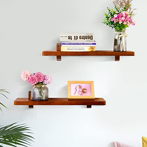Bielebbi Floating Shelves, Wall Shelves, Bathroom Shelves, Decor Wall Mounted Shelves, L23.4xW5.9 Shelves for Wall Decor Set of 2, Floating Shelf for Bedroom, Bathroom, Kitchen