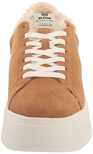 ASH Women's Moby Be Kind Sneaker, Nebbia, 10
