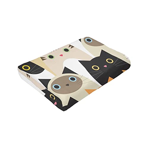 Cat Blanket Warming Gifts Super Soft Throw Blanket Flannel Cozy for Loved One Home Decor for All Season 50"X40"