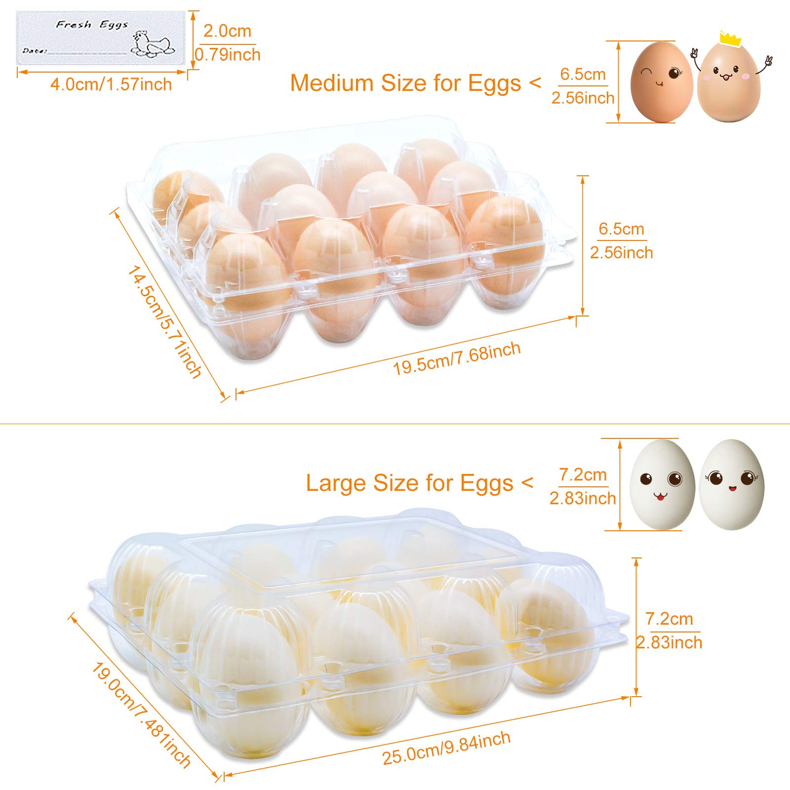 BULKBUY Egg Cartons 60 Packs, Clear Eco-friendly Plastic Blank Egg Cartons with Free Labels, Holds up to 12 Eggs Securely, Perfect for Family Pasture Farm Markets Display - Medium