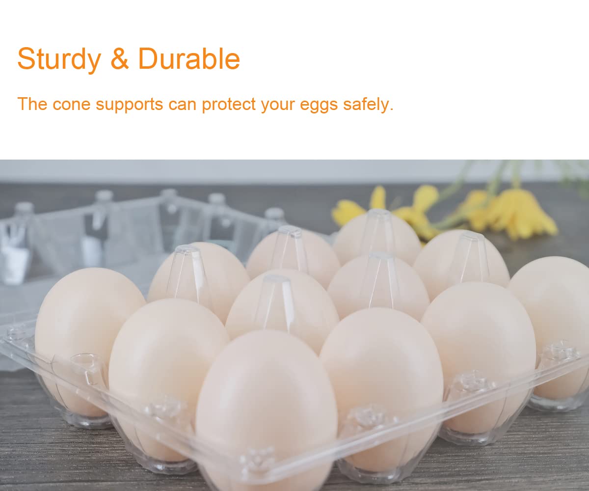 BULKBUY Egg Cartons 60 Packs, Clear Eco-friendly Plastic Blank Egg Cartons with Free Labels, Holds up to 12 Eggs Securely, Perfect for Family Pasture Farm Markets Display - Medium