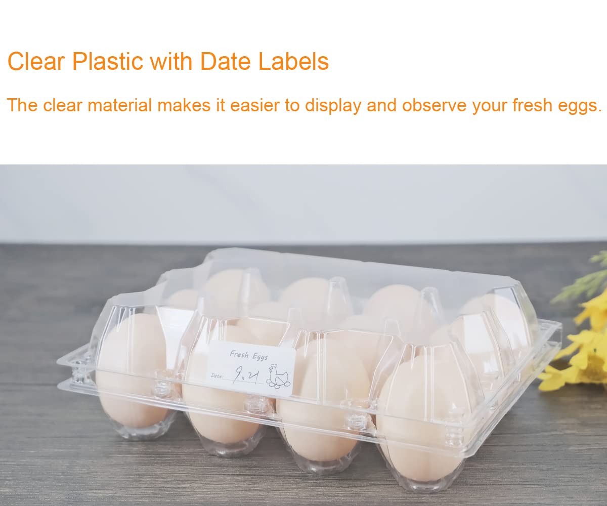 BULKBUY Egg Cartons 60 Packs, Clear Eco-friendly Plastic Blank Egg Cartons with Free Labels, Holds up to 12 Eggs Securely, Perfect for Family Pasture Farm Markets Display - Medium