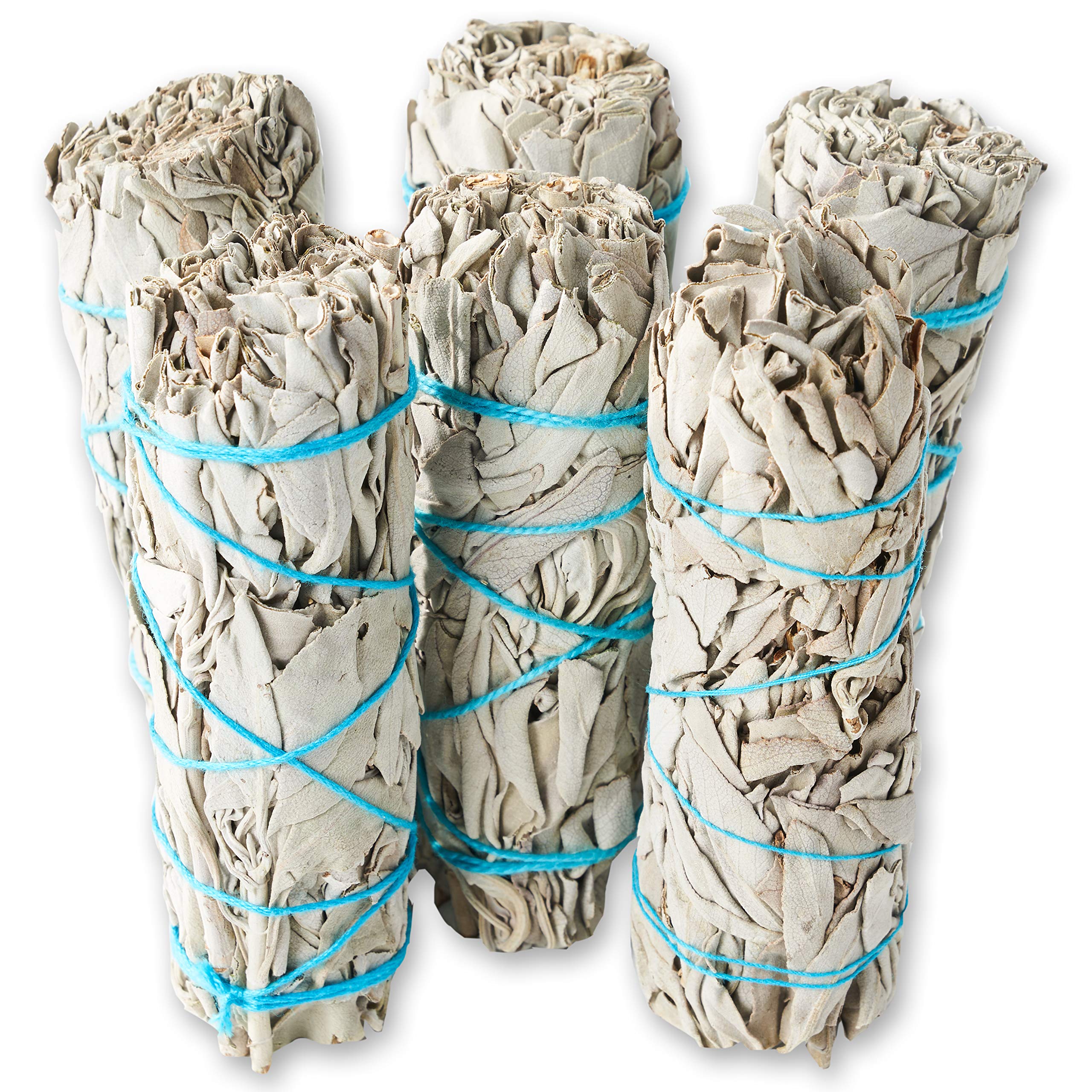 6 Pack White Sage ~ Sage Smudge Sticks for Smudging & Cleansing Energy ~ Bulk / Wholesale ~ Sustainably Grown (6 Pack)