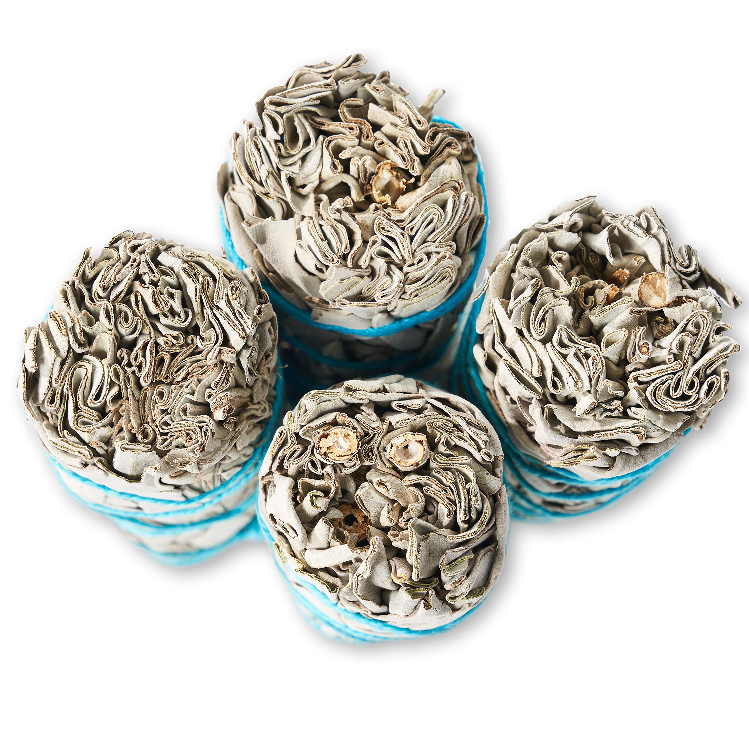 6 Pack White Sage ~ Sage Smudge Sticks for Smudging & Cleansing Energy ~ Bulk / Wholesale ~ Sustainably Grown (6 Pack)