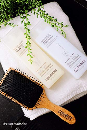 GIOVANNI Eco Chic Smooth as Silk Deeper Moisture Conditioner, 24 oz. - Apple + Aloe Extracts, Calms Frizz, Detangles, Wash & Go, Lauryl & Laureth Sulfate Free, Paraben Free, Color Safe