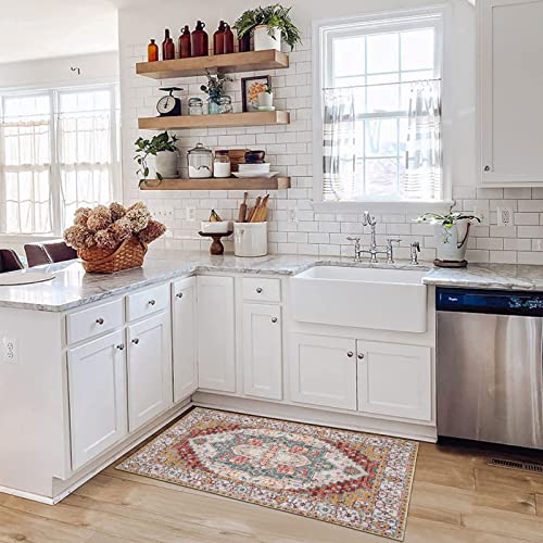 Entry Rugs for Inside House 2x3 Rug Washable Area Rugs Small Rugs Entry Rug 2x3 Rugs for Entryway Small Rugs for Entryway