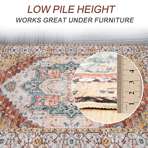 Entry Rugs for Inside House 2x3 Rug Washable Area Rugs Small Rugs Entry Rug 2x3 Rugs for Entryway Small Rugs for Entryway