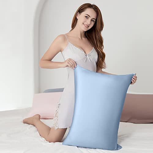 Silk Pillowcase for Hair and Skin,Mulberry Silk Pillow Case,Health,Soft and Smooth,Anti Acne,Beauty Sleep,Both Sides Natural Silk Pillow Covers with Hidden Zipper for Gift(Standard Size,Haze Blue)