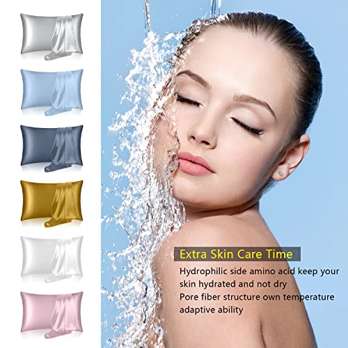 Silk Pillowcase for Hair and Skin,Mulberry Silk Pillow Case,Health,Soft and Smooth,Anti Acne,Beauty Sleep,Both Sides Natural Silk Pillow Covers with Hidden Zipper for Gift(Standard Size,Haze Blue)