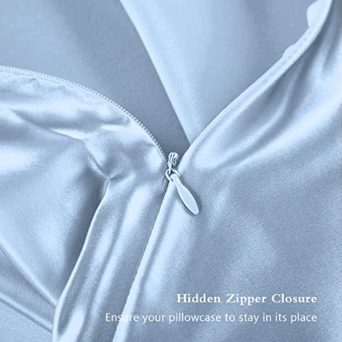 Silk Pillowcase for Hair and Skin,Mulberry Silk Pillow Case,Health,Soft and Smooth,Anti Acne,Beauty Sleep,Both Sides Natural Silk Pillow Covers with Hidden Zipper for Gift(Standard Size,Haze Blue)