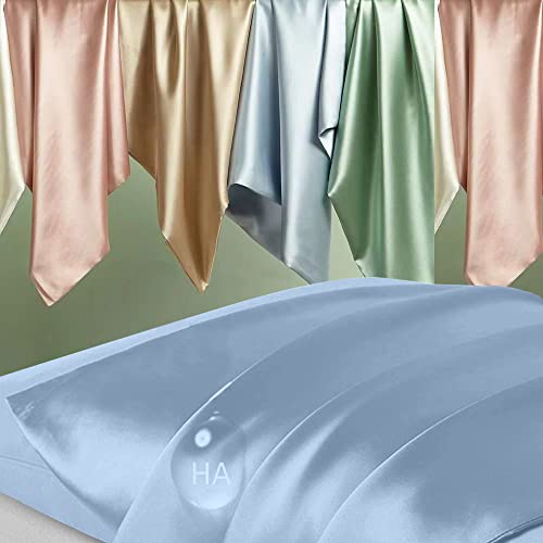 Silk Pillowcase for Hair and Skin,Mulberry Silk Pillow Case,Health,Soft and Smooth,Anti Acne,Beauty Sleep,Both Sides Natural Silk Pillow Covers with Hidden Zipper for Gift(Standard Size,Haze Blue)
