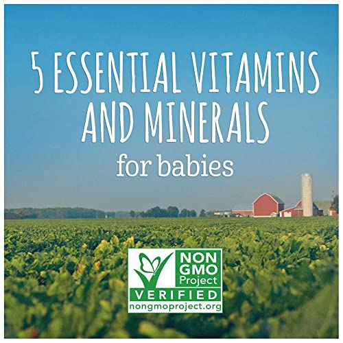 Gerber Puffs Variety Pack, 1 Banana, 1 Vanilla, 1 Blueberry, 3 CT