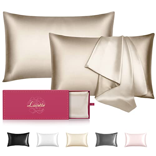 Silk Pillowcase 2 Pack for Hair and Skin,22 Momme 100% Mulberry Silk & Natural Wood Pulp Fiber Grade 6A Dual-Sided Silk Pillow Cases with Hidden Zipper,600 Thread Count(Champagne,Standard 20"x26")