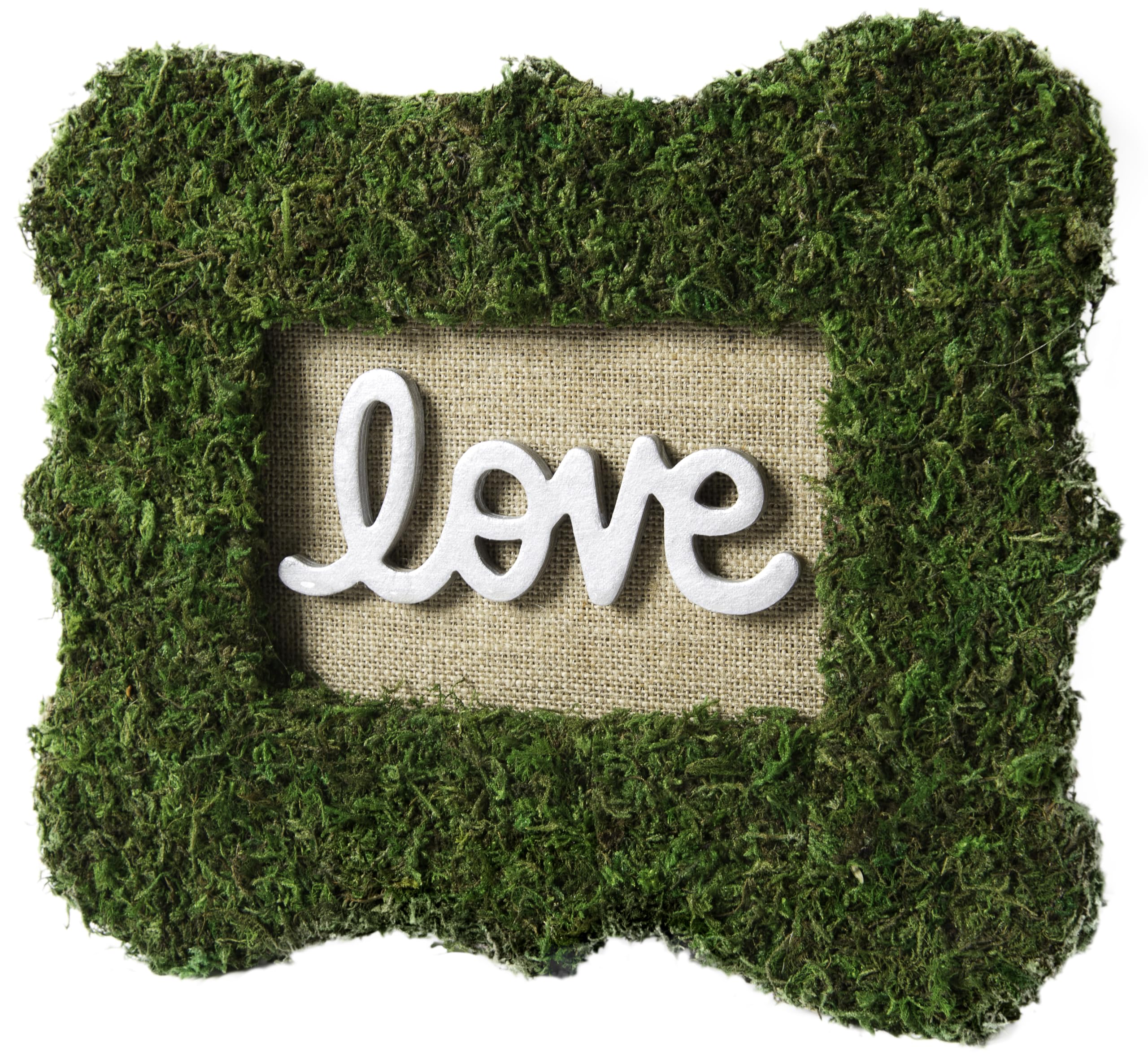 SuperMoss (22420) InstantGreen Moss Mat, Fresh Green, 18 x 16""
