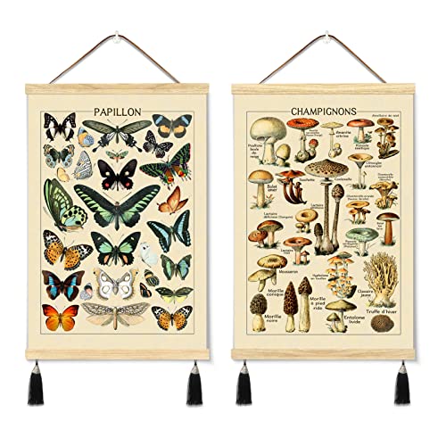 LIYAOLI Vintage Mushroom Wall Art Botanical Poster Decor & Butterfly Wall Art 2 Set of 16X24 Inch Hanging Canvas Magnetic Poster Frame Wood Wall Art for Indie room Decor Maximalist Wall Decor