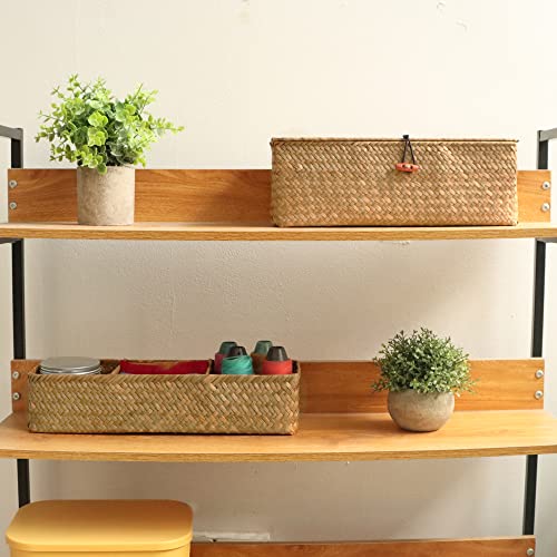 FEILANDUO Seagrass Storage Basket with Lid Hand Woven Wicker Shelf Baskets Rectangular Small Storage Box for Desktop Organizing (Natural 3 Sections with Lid)