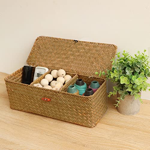 FEILANDUO Seagrass Storage Basket with Lid Hand Woven Wicker Shelf Baskets Rectangular Small Storage Box for Desktop Organizing (Natural 3 Sections with Lid)