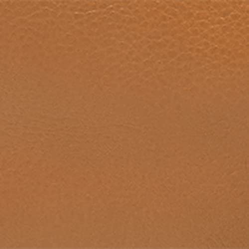 Fossil Women's Liza Eco Leather Camera Bag Crossbody Purse Handbag