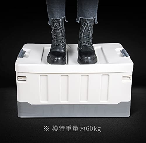 WDBBY Car Trunk Storage Box Car Storage Box Trunk Storage Box Artifact Car Decoration Supplies (Size : 59cm)