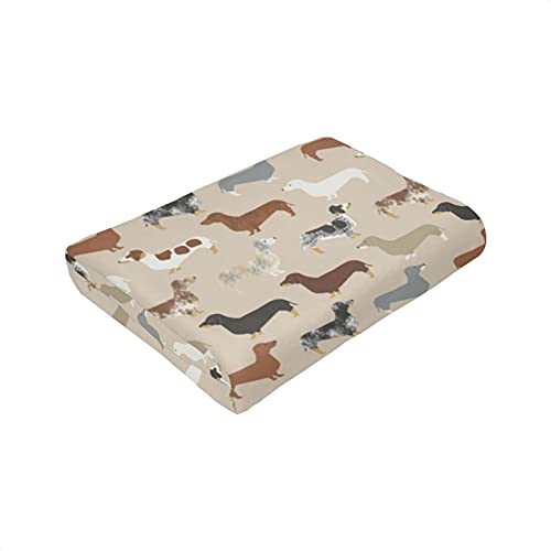 Fleece Blanket Sofa Throw Christmas Dachshund Flannel Blanket for Bed Warm Soft Winter Blanket for Children and Adult
