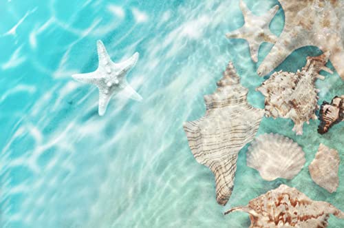 Teal Ocean Beach Theme Shell and Starfish Area Rug for Bedroom Playroom Living Room Washable Soft Funky Cute Dining Room Carpet Indoor No-Slip Hallway Kitchen Bathroom Rug 3x8