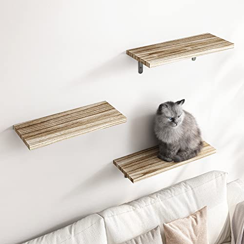 Fixwal Floating Shelves, Rustic Wood Wall Shelves Set of 6, Shelves for Wall Decor, Farmhouse Style for Bedroom, Living Room, Kitchen, Bathroom, Office and Plants (Carbonized Black)