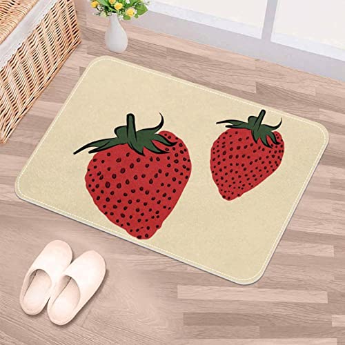 Strawberries, Indoor Door Mat Durable Front Door Mats Entryway Rug Non-Slip Absorbent Area Rugs Resist Dirt Rugs for Room Decor, 24"x16"