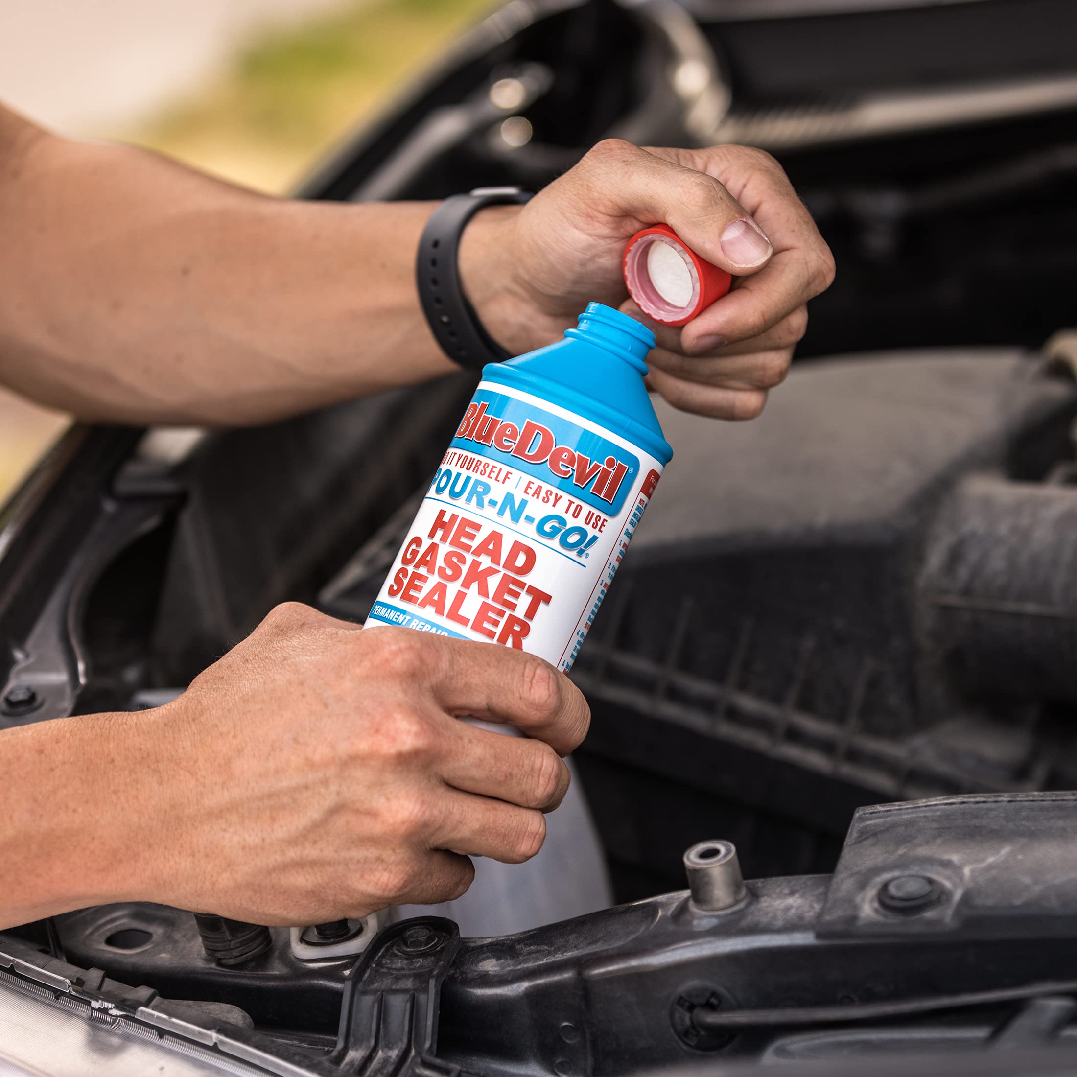 BlueDevil 00209 Pour-N-Go Head Gasket Sealer - 16 Ounce