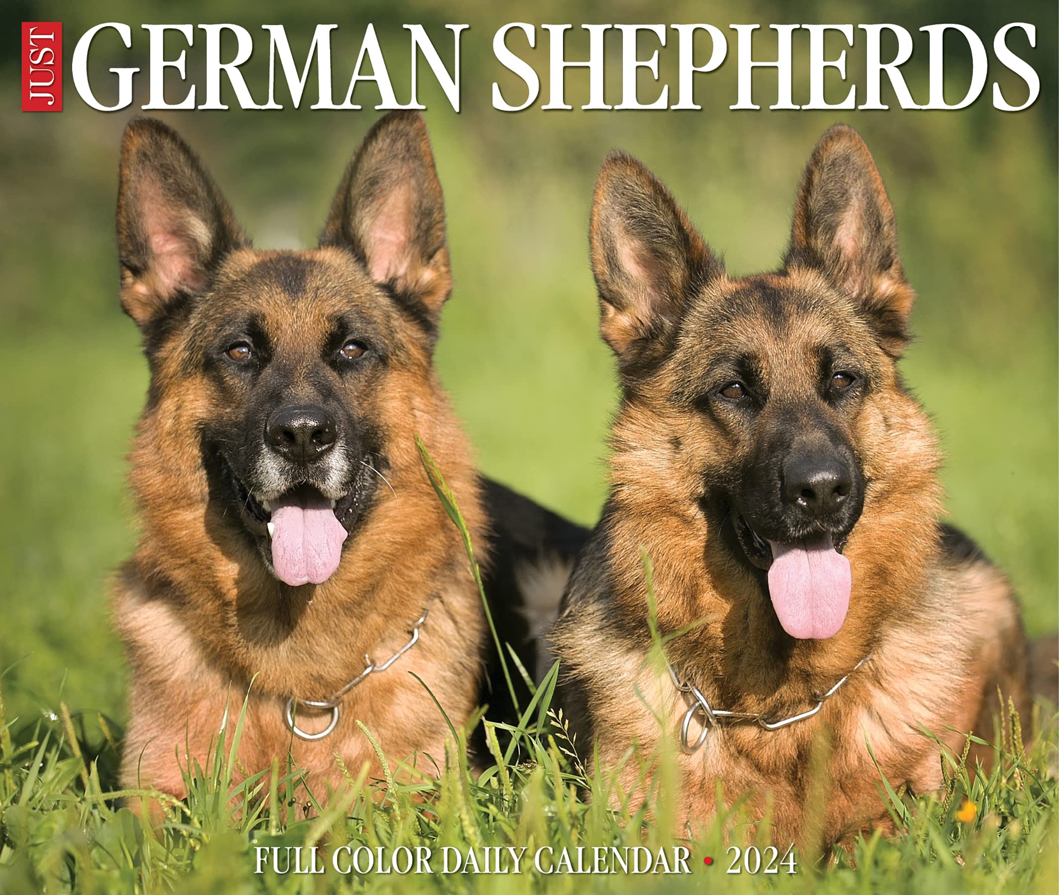 Willow Creek Press German Shepherds Daily 2024 Box/Desk Calendar (5.86" x 4.72")