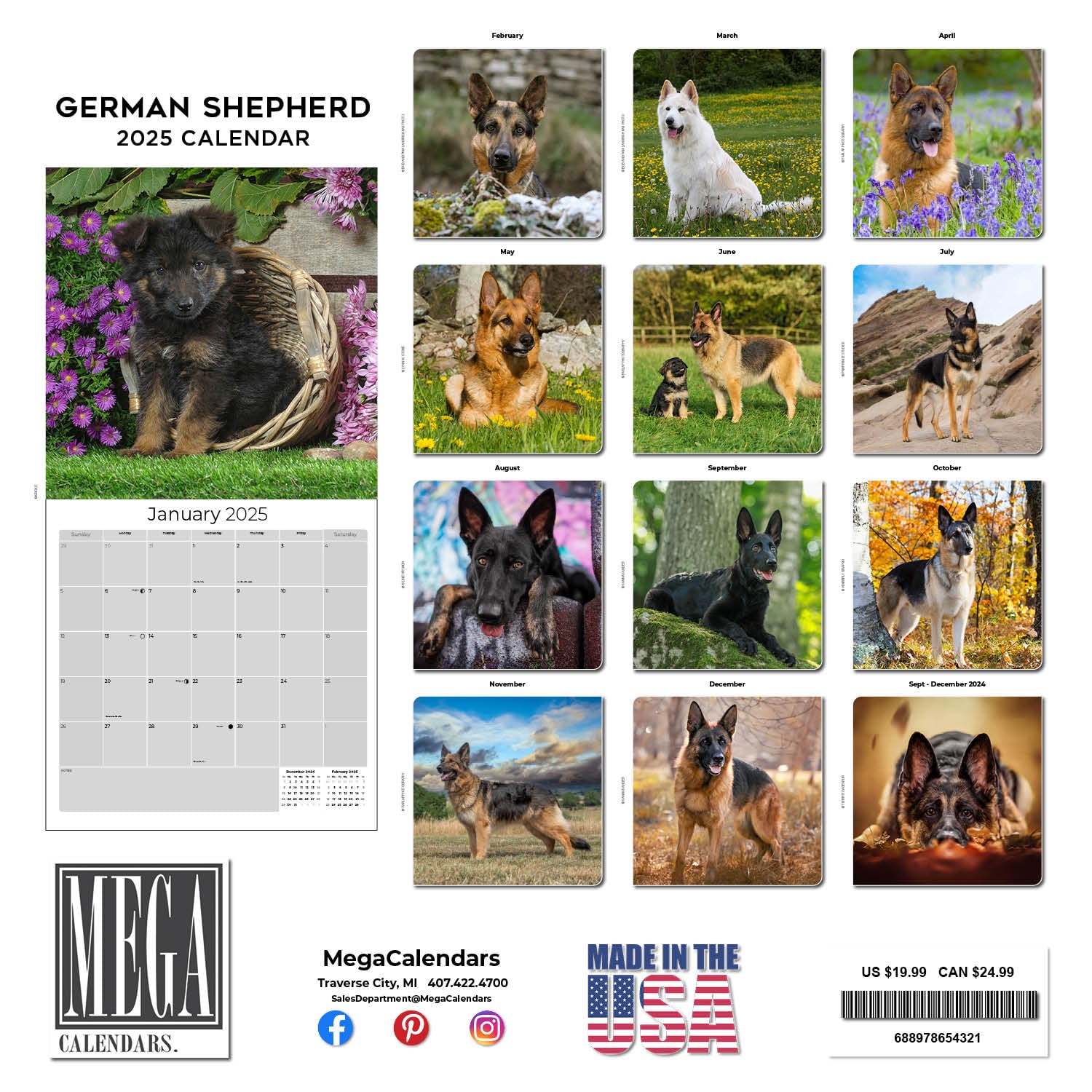 2024 2025 German Shepherd Calendar - Dog Breed Monthly Wall Calendar - 12 x 24 Open - Thick No-Bleed Paper - Giftable - Academic Teacher's Planner Calendar Organizing & Planning - Made in USA
