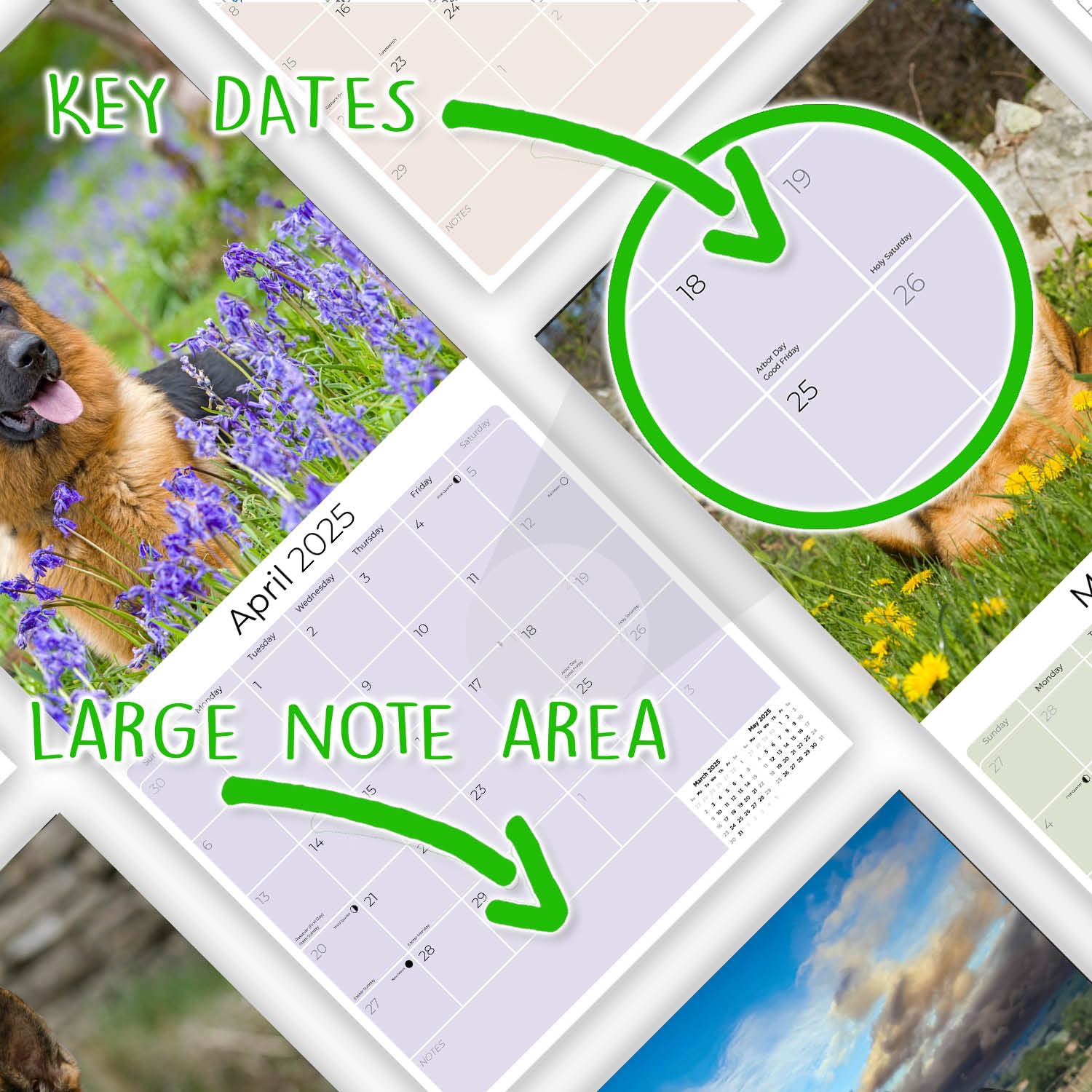 2024 2025 German Shepherd Calendar - Dog Breed Monthly Wall Calendar - 12 x 24 Open - Thick No-Bleed Paper - Giftable - Academic Teacher's Planner Calendar Organizing & Planning - Made in USA