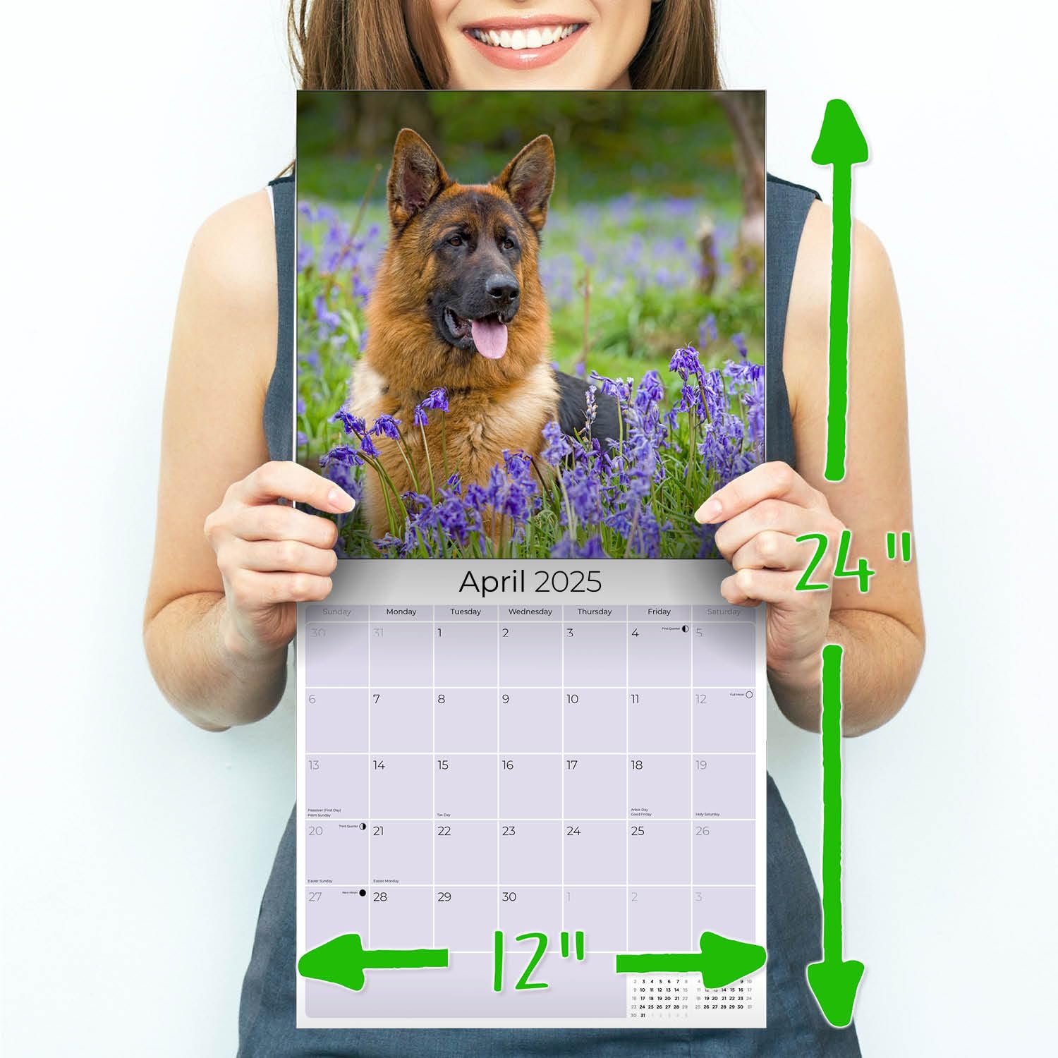 2024 2025 German Shepherd Calendar - Dog Breed Monthly Wall Calendar - 12 x 24 Open - Thick No-Bleed Paper - Giftable - Academic Teacher's Planner Calendar Organizing & Planning - Made in USA