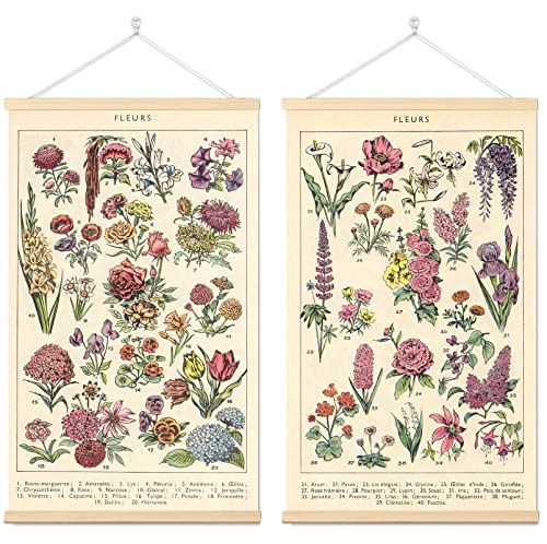 Vintage Flower Posters Botanical Wall Art Prints Cottagecore Room Decor, Colorful Floral Wildflower Wall Art Decor Plant Hanging Poster Nursery Wall Decor, Flower Wall Art Prints for Home Office Bedroom Dorm Decor Frame, 16 x 22Inch x 2pcs